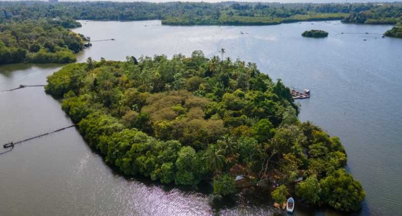 Cinnamon Island, Sri Lanka | Reinis Fischer